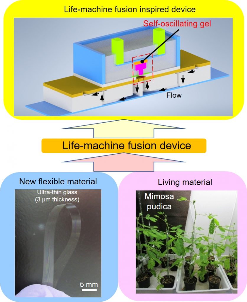 Invited research | Science of Soft Robots – Interdisciplinary ...