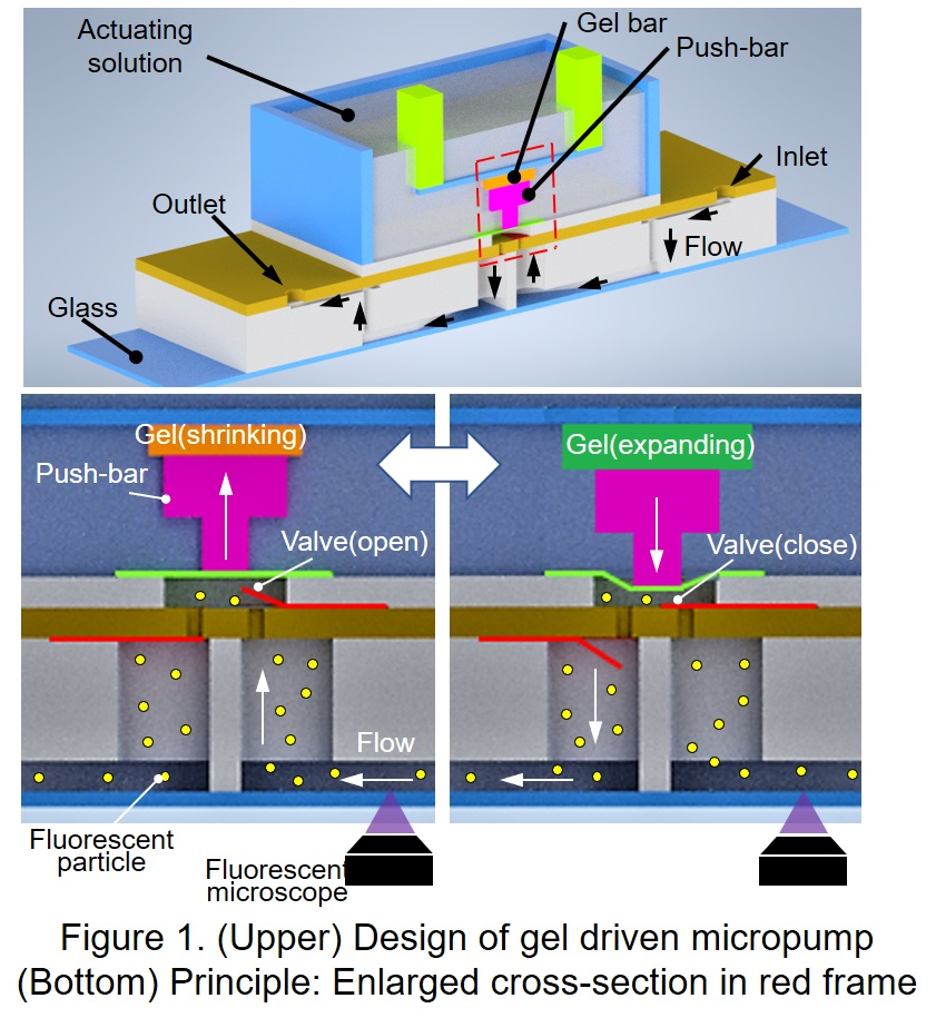 Collaboration within this area: A soft chemical micropump actuated by ...